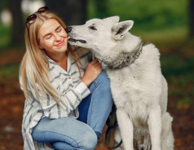 Millard Veterinary Clinic: Top Rated Omaha Veterinarians